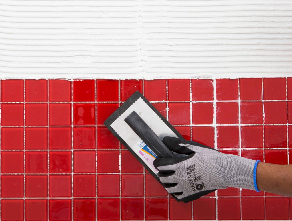 Savvy Shopper - Business Media MAGS