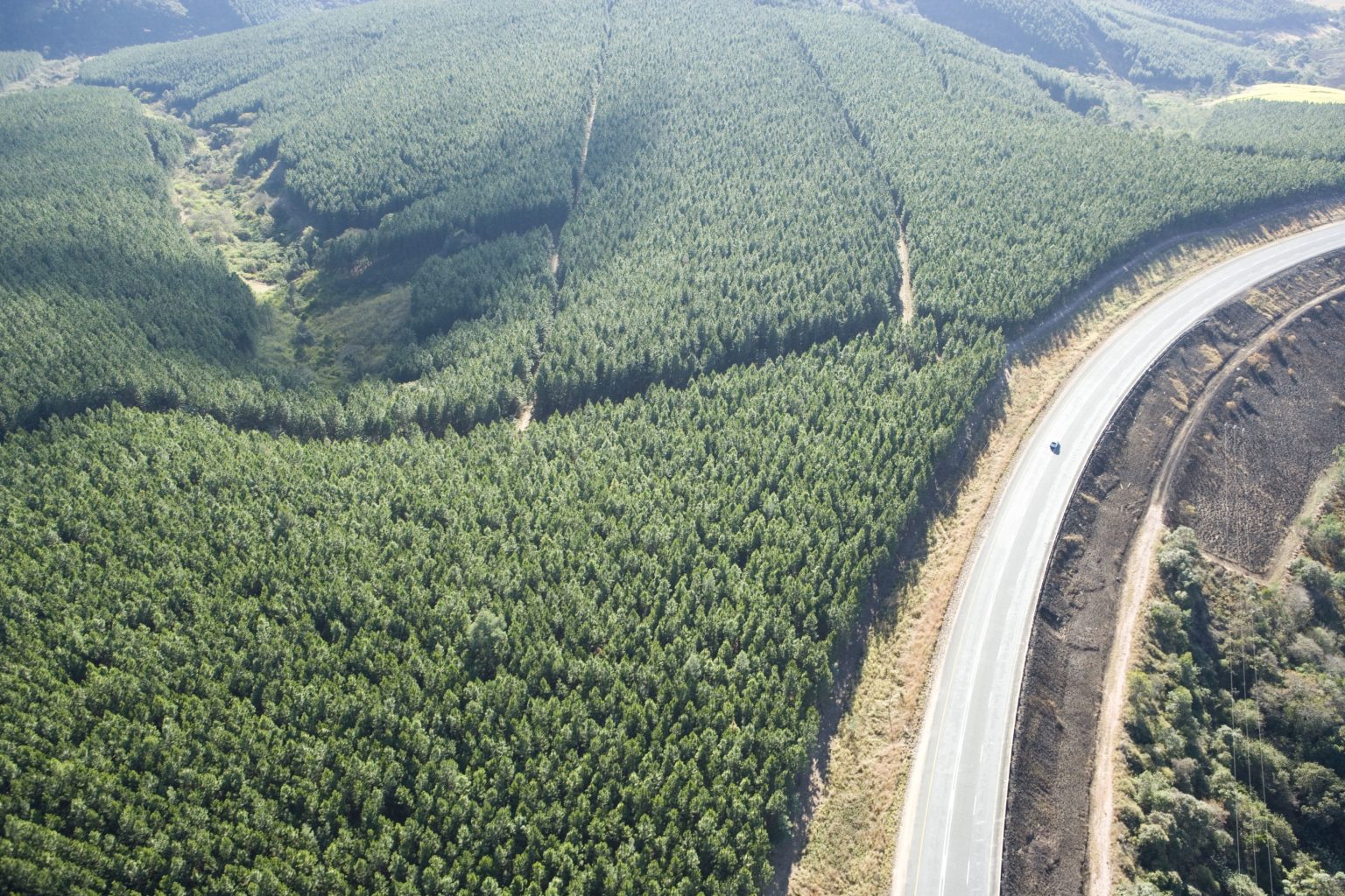 Global Forest Sector And Workers: Providing Solutions For Pandemic ...