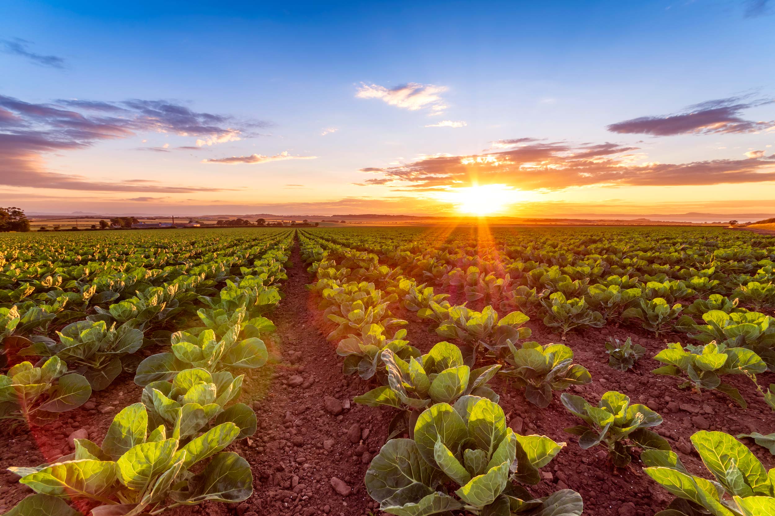 Everything You Need To Know To Get Your Agri-Projects Funded - Business ...