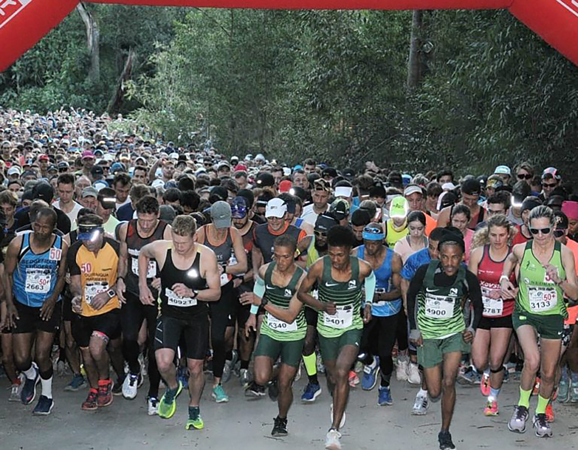 The 2024 Knysna Forest Marathon - Business Media MAGS - A leader in ...