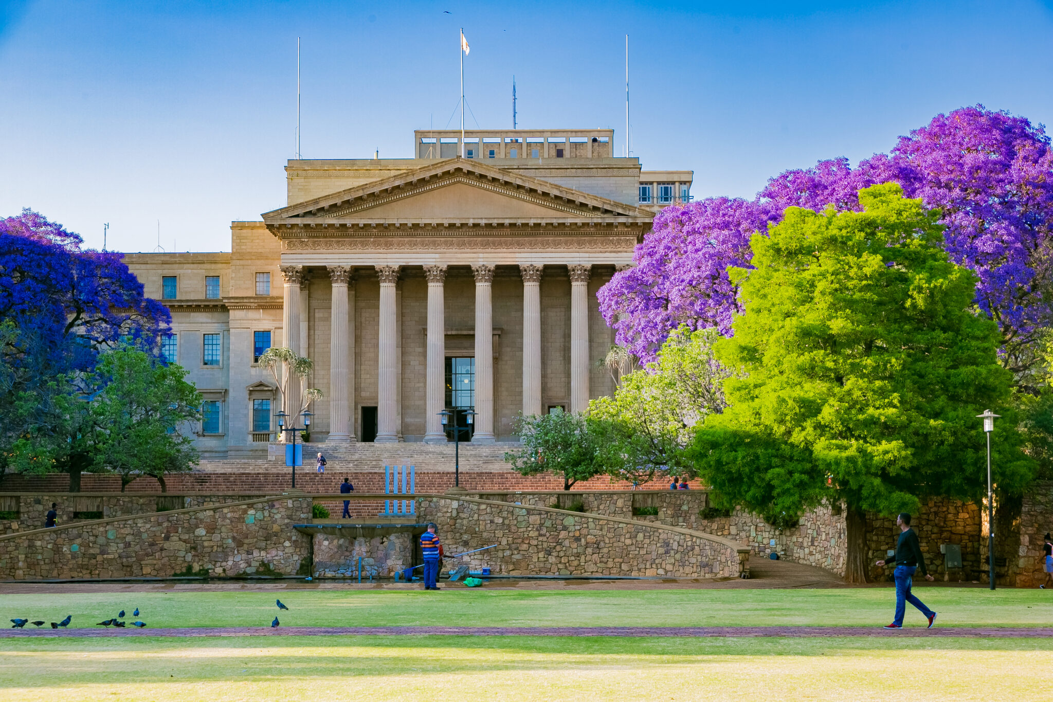 Lifelong Learning Is Key To Relevance In Today’s Marketplace, Says Wits Plus CEO - Business ...